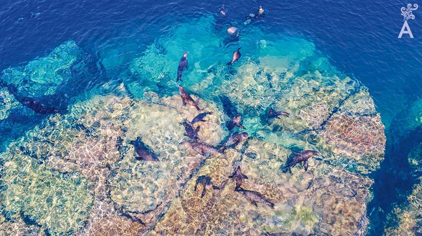 Gran Mar - Tendencia el Arte de Viajar
