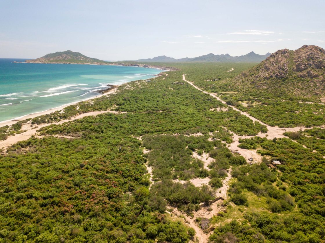 Cabo Pulmo: An example of conservation that is a must-see destination ...